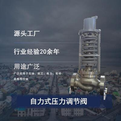 ZZY 型自力式压力调节阀 ZZY Self-operated Pressure Regulatin