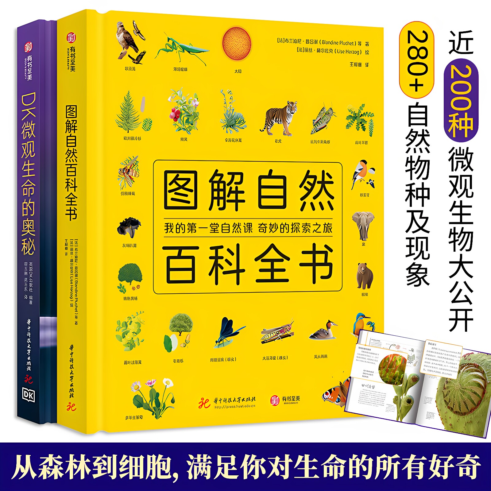 【官方正版】DK微观生命的奥秘+图解自然百科全书 科普百科生物科学全彩图解 探索微观世界的奇迹自然微生物图解科普书籍 有书至美