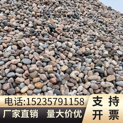 福建工程鹅卵石天然原石花园变压器铺路铺地造景大号河卵石滤料石