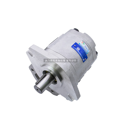 长源齿轮泵CBF-F650/F663/F671/F680/F690/F6100AFP修理包