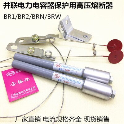 BR1 BR2 BRN高压熔断器BRW-10KV/70A 72A 73A 74A 75A 76A 78A80A