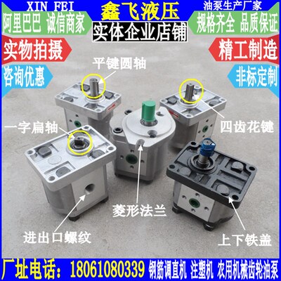高压齿轮泵CBHT-E310-BFHL钢筋调直剪板机泵CBT-E310液压油泵FER2