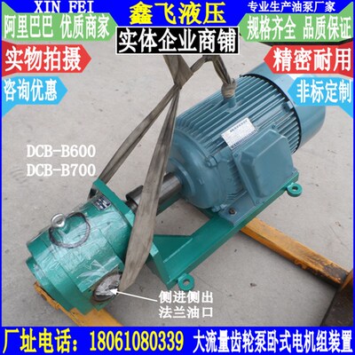 WBZ-DCB-TXLB-XTCB-B600 CB-B700JZ大流量齿轮油泵电机组卧式装置
