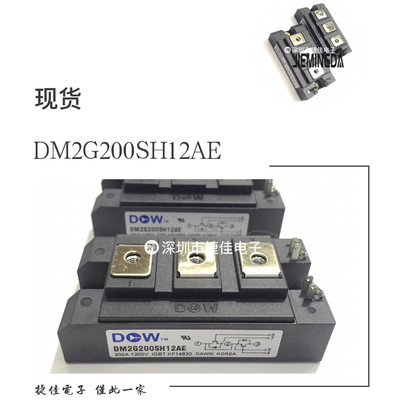 DM2G150SH12AE DM2G200SH12AE DM2G150SH120AE DM2G300SH12AE原装