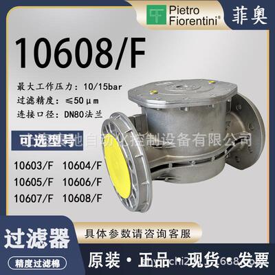 Fiorentini菲奥燃气过滤器 FMF10608F法兰过滤器管道高精度过滤器