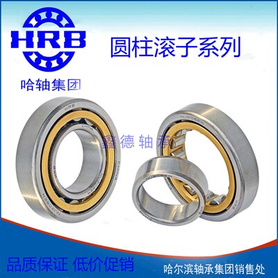 HRB轴承RNU RN NU NJ202 203 204 205 206 207 1006 1007 1008 M