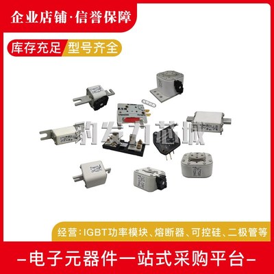 170M3716 170M3717/3718/3719/3720/3721/3722/3723全新熔断器