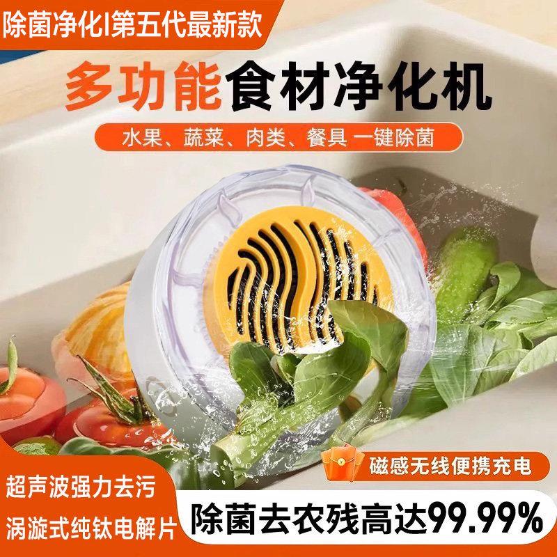 超声波食材净化器荣泊事达果蔬清洗机去农残家用多功能杀菌洗菜机