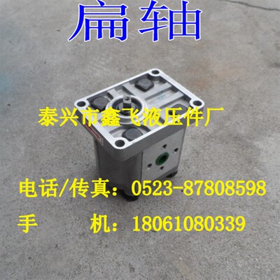 CBN-F304 CBN-F306 CBN-F308 CBN-F310 CBN-F312高压油泵 齿轮泵