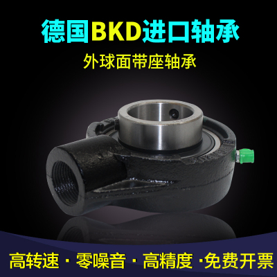 德国BKD UCHA 201 202 203 204 205 206 207 208外球面带座轴承