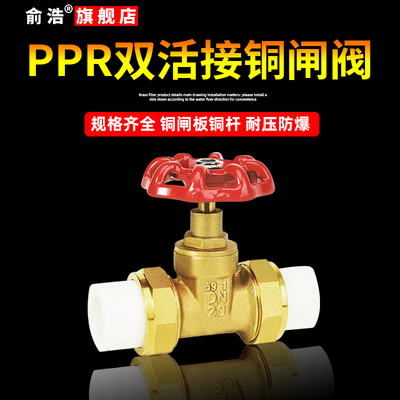 PPR双头活接闸阀活接阀门全铜4分DN15DN20开关截止阀水管配件管件
