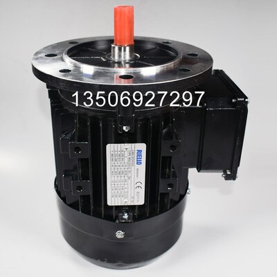 RIELLO燃烧器电机利雅路油泵电机RS70 RS100 RS130 RS190 RS250