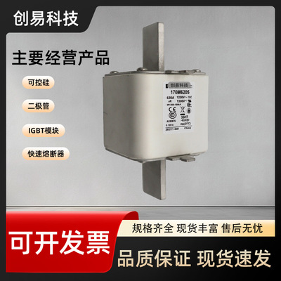 170M系列熔断器6258-6262