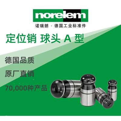 enorlem德原厂直供诺瑞国朗NLM00317定位销球头A型扁BRD平C型