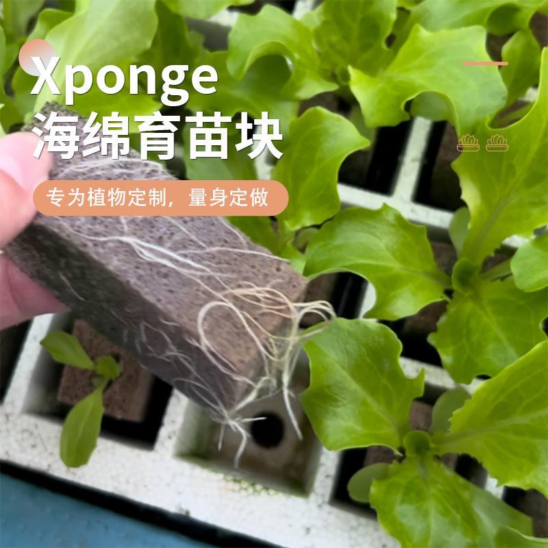 无土栽培基质生菜种苗盆栽阳台种菜生长多肉花卉育苗基质块非炭棉