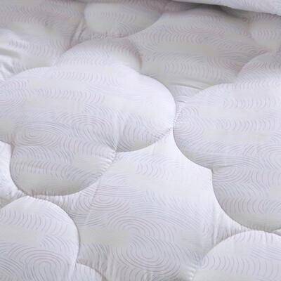 羽绒秋被四季化纤被学丝生春棉被单77135人双芯人加大