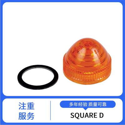 SQUARED9007C54N2S9Y1851L3