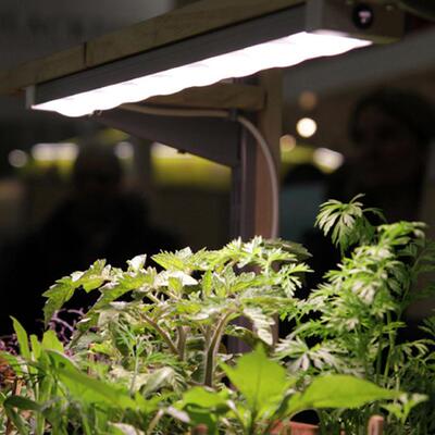 科瑞LED物生长灯全光植谱多肉补光灯色室内雨LVM林上缸盆栽景观微