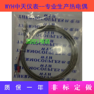 中天仪表 WRNX-31 粗牙M6防进口罗丁热电偶 罗丁偶 罗钉偶 传感器