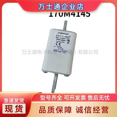 巴斯曼快速熔断器 保险丝170M4141 170M4145 170M4393现货