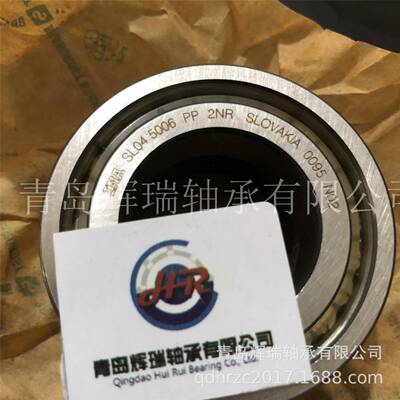 满装圆柱滚子轴承SL045006-P-2PNR内径30mm外径55mm厚4度883mm