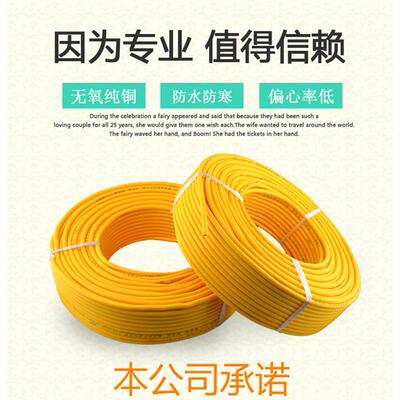 纯铜电源线PVV抗冻抗摔防水牛筋电线缆线2.5平/4平国标两芯护套线