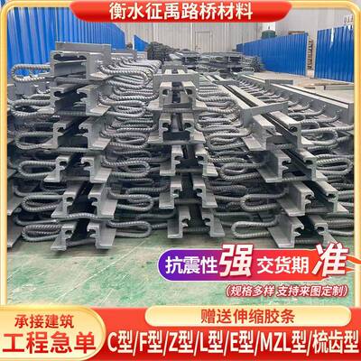 桥梁伸缩缝公路C40F60D80型160240异型钢梳齿板式伸缩缝装置