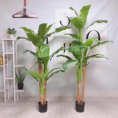 芭蕉室装内件大型盆栽香蕉树树软造BJ-18745景落地假绿植景摆观树