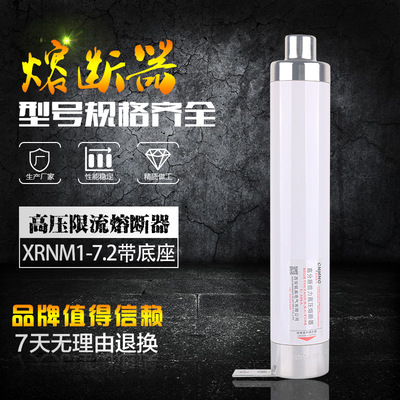 铭高直销高压限流熔断器F-C真空接触器高压限流熔断XRNM-7.2/200A