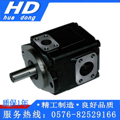 DENISON 丹尼逊 T6C-022/025/028-1R00/1R01/1R02/1R03-A1/B1