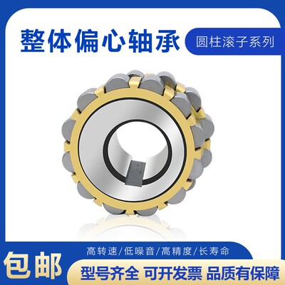 天马减速机偏心轴承RN205 206 307 308 309 312 222 219 328 M