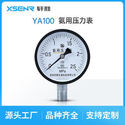 YA1002.5MPa管道式氨气压力表氨用分解炉压力表苏州轩胜