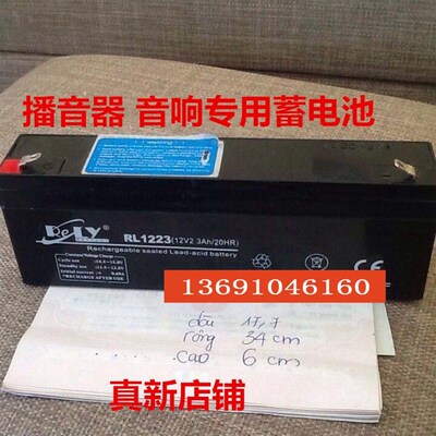 RELY蓄电池 RL1223 (12V2.3Ah/20HR)音响 扩音器 播音器用蓄电池