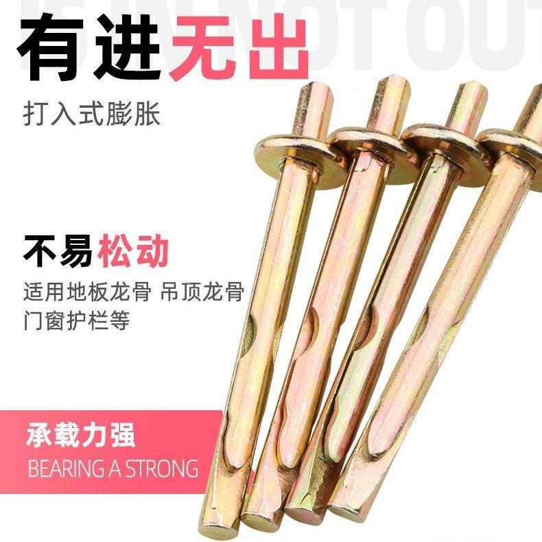 整箱插片膨胀螺丝水泥墙快速打入式新型膨胀钉壁虎敲击式膨胀钉
