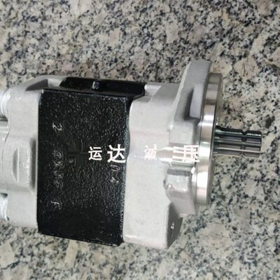 高压齿轮泵 天津岛津液压有限公司 SGP1A30.8D2H9-R433T