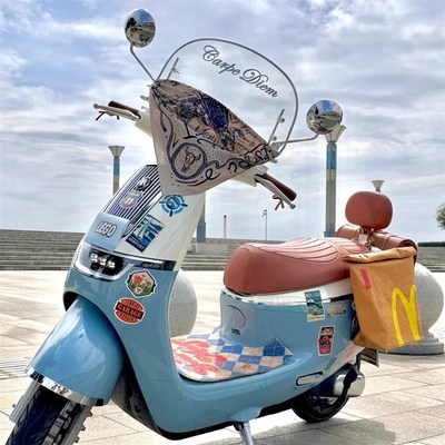Carpe Diem及时行乐电动车挡风板反光摩托车贴纸前风挡玻璃装饰贴