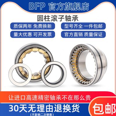 进口BFP圆柱滚子轴承NUP2304 2305 2306 2307 2308 2309EM EW C3