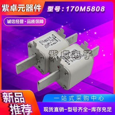 170M5664 170M5665 170M5666 170M5667 170M5668伊顿巴斯曼熔断器