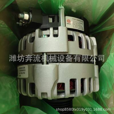 1001828445 发电机 潍柴原厂发电机 WP10 WP12 WD615 WP6发电机