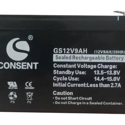 光盛CONSENT蓄电池GS12V9AH应急电源专用电梯音响电瓶船舶UPS