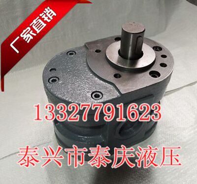 HY01-18*25 8X15 25*25 12X20 3*5X10机磨床70 100X25齿轮油泵CBJ