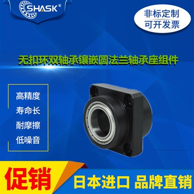 BGFSYB BGFSY BAFSY BFY 41 42 43 轴承座组件