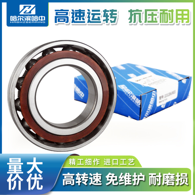 哈尔滨角接触轴承7307 7308 7309 7310 7311 7312 7313 7314ACACM