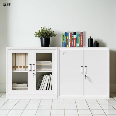 SW2025-J钢办公室铁带皮办公文制件柜矮柜公司资料锁柜档案储落物