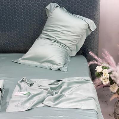 纯色天丝笠席床思床套罩防尘罩席梦跨思床垫防滑固定1.8QM22021-