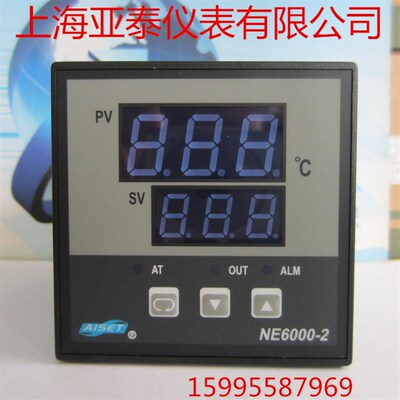 上海亚泰仪表温控器NE-6000-2温控仪 NE-6431V-2DN