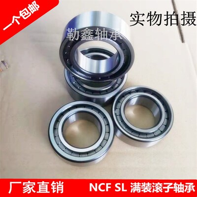 满装 圆柱 轴承 SL NJG 2317 2318 2319 192317 192318 192319