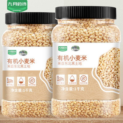九月的诗有机小麦仁米脱皮谷物