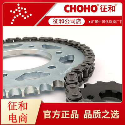 飞致150 YS15k0/天剑150 YBR150Z飞致125大小牙盘链轮套链油封链