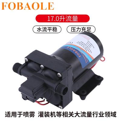 微型电动隔膜泵12V电动喷雾器水泵24V洗车泵泵17升家用清洗隔膜泵